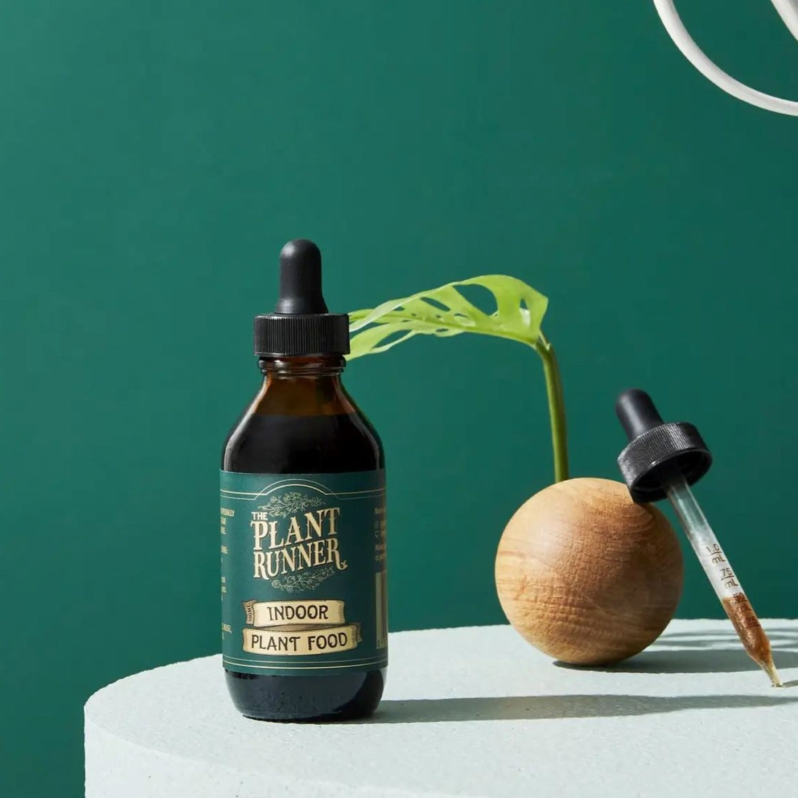 Plant Folk Store | Plant Care + Gifts For Plant Folk